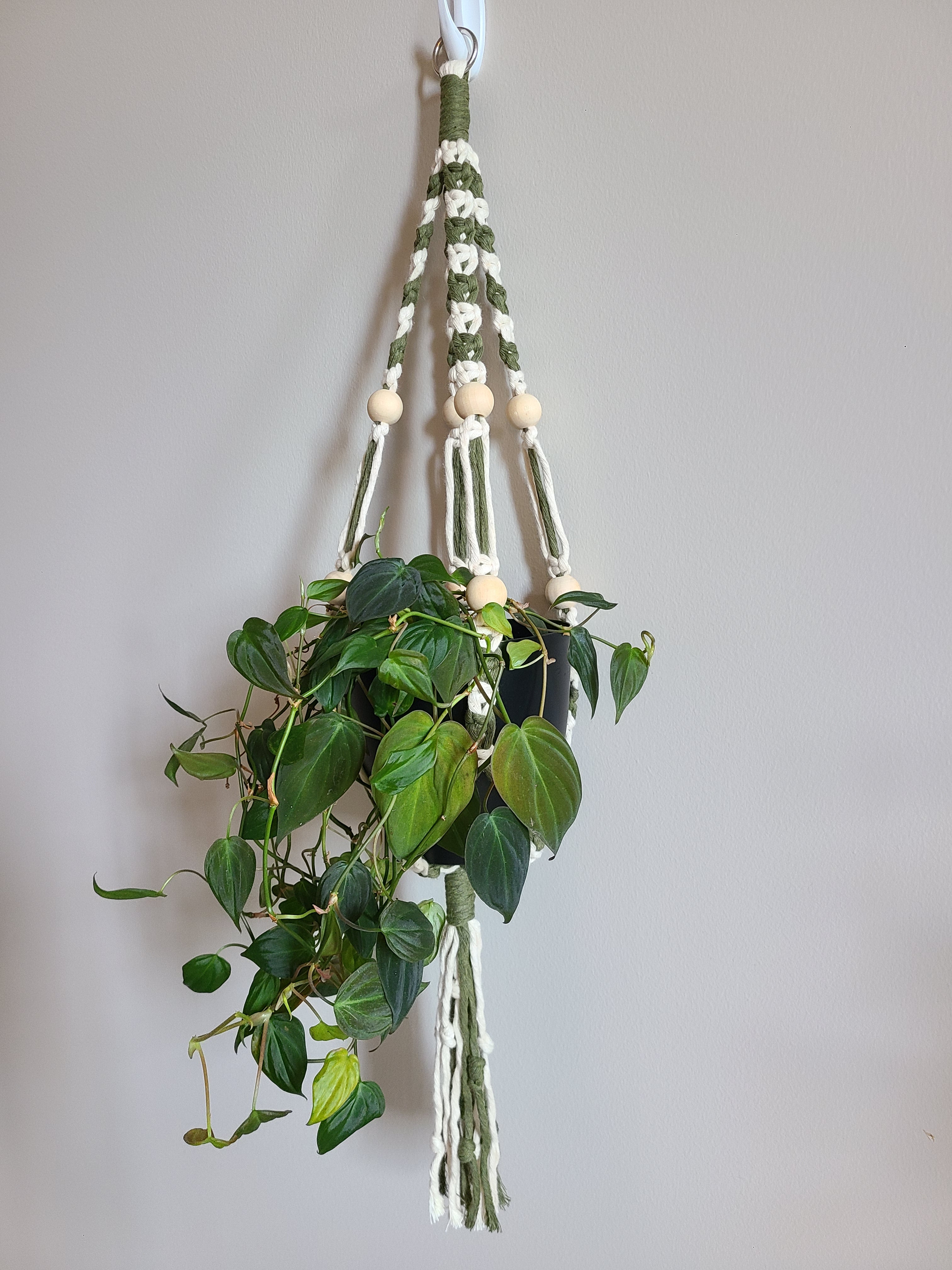 Midwest Fiber Festival in St Louis Missouri!